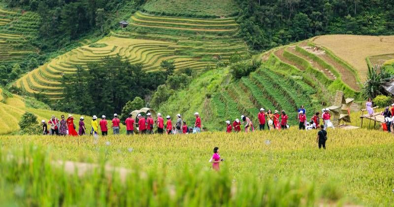 Breathtakingly beautiful Mu Cang Chai terraced fields in ripe rice season Breathtakingly beautiful Mu Cang Chai terraced fields in ripe rice season