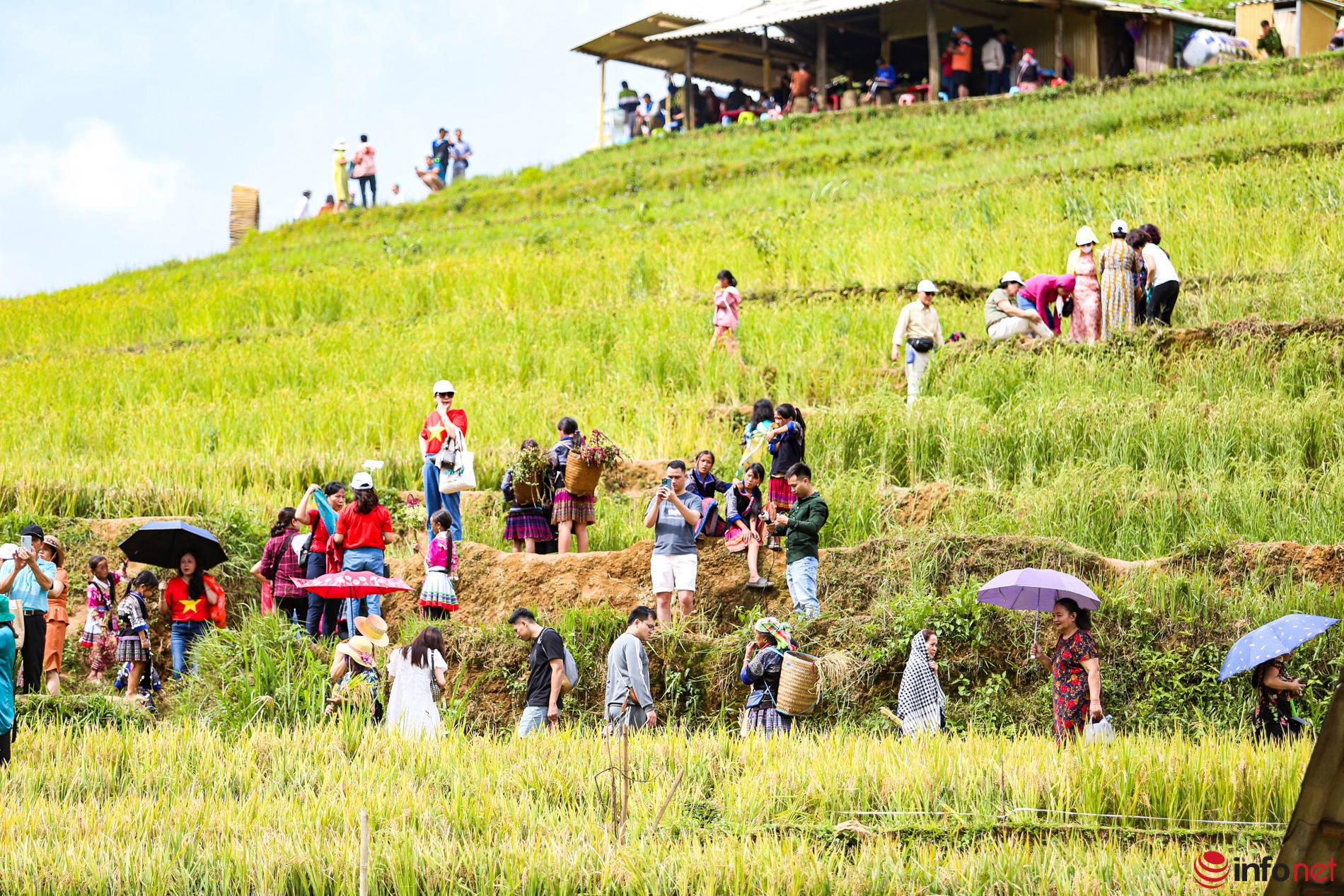 Breathtakingly Beautiful Mu Cang Chai Terraced Fields In Ripe Rice Season