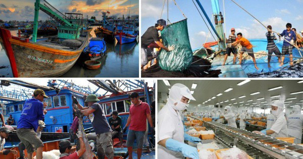 Viet Nam becomes world’s third largest seafood exporter