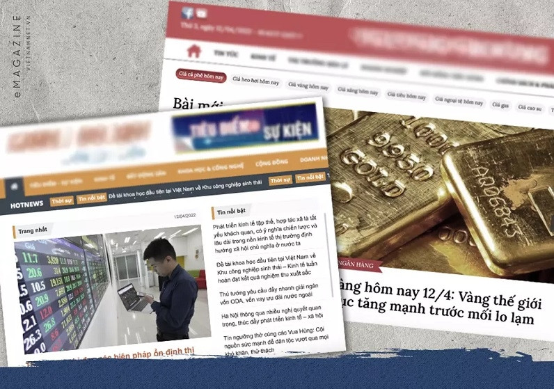 The results of press privatization