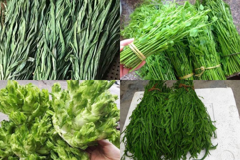 Bốn loại rau đắt hơn thịt có tiền chưa chắc mua được