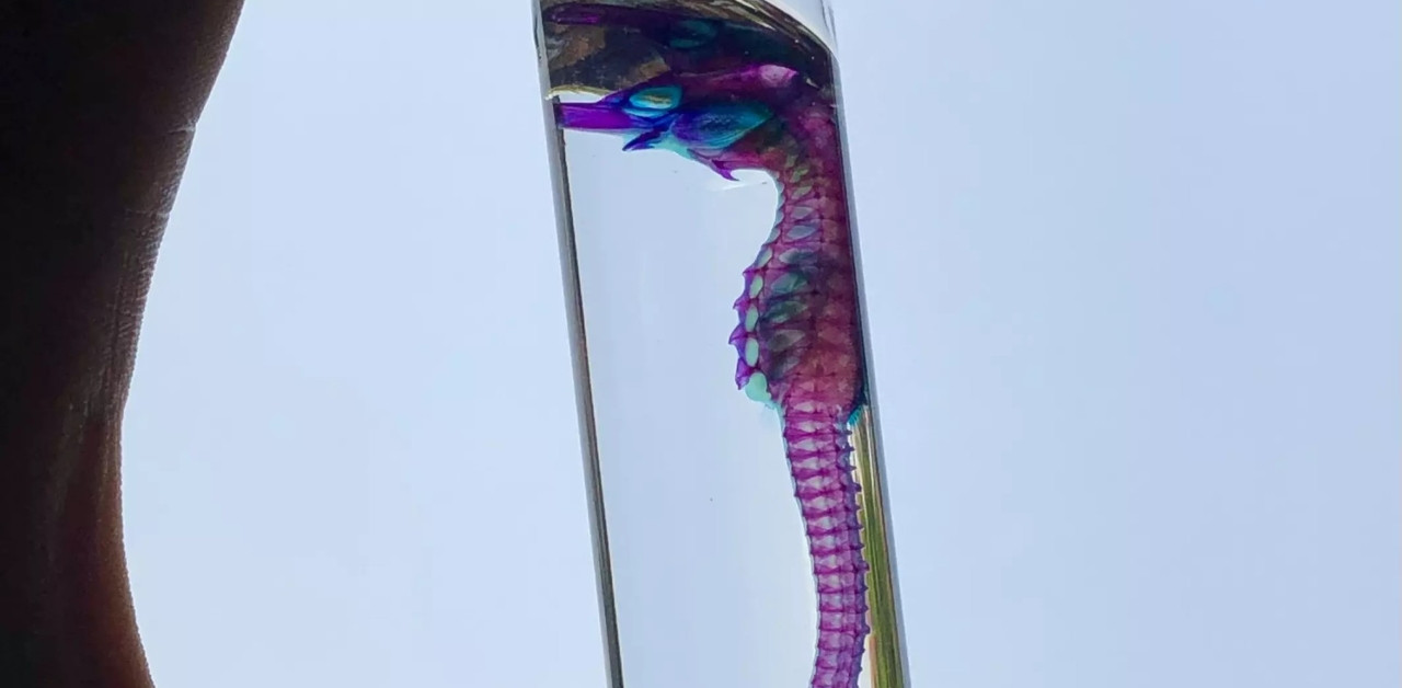 Teenager specializes in diaphonization of animals