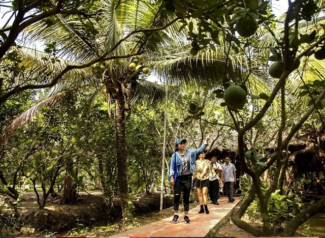 Discovering the fruit paradise of Ben Tre