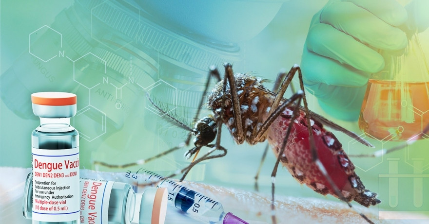 Vietnam to test Japanese dengue vaccine amid a sharp rise in infections