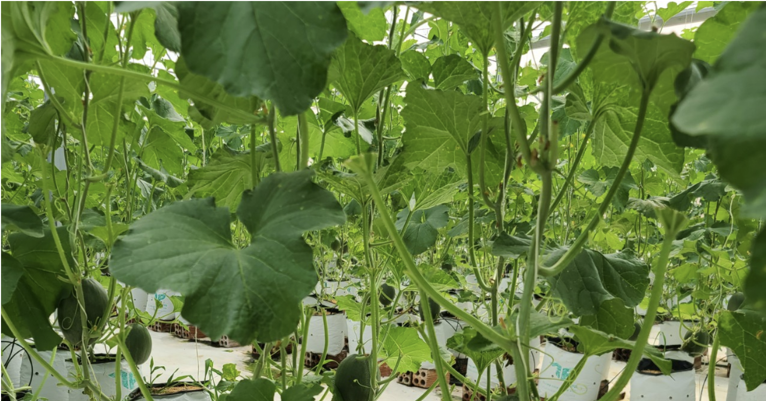 Bà Rịa-Vũng Tàu phấn đấu hình thành Trung tâm ứng dụng NNCNC vào năm 2025