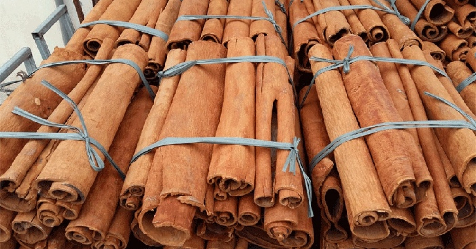 Vietnam emerges as leading global cinnamon exporter