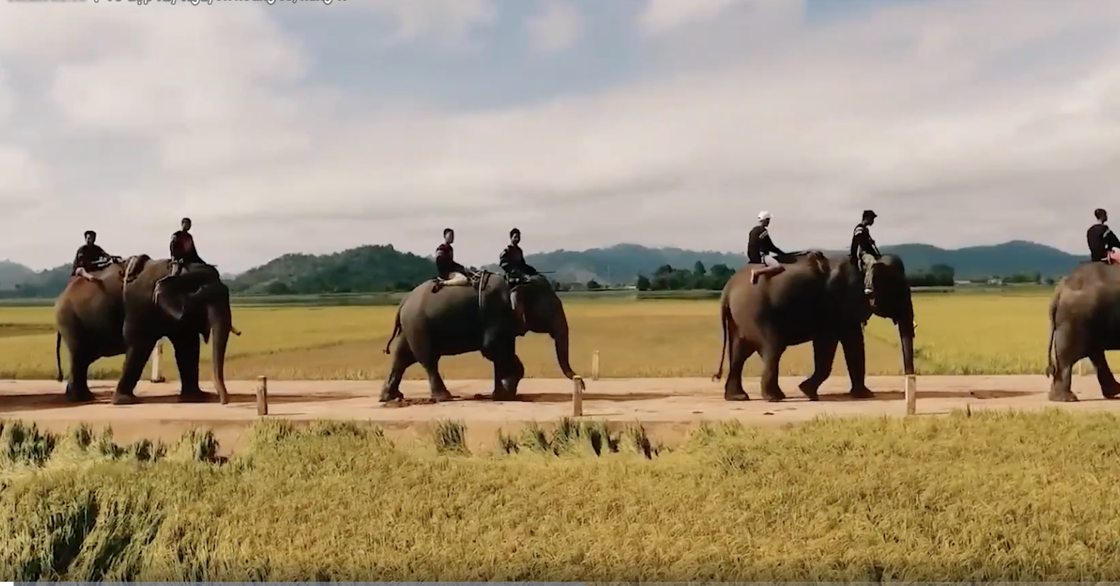 “Đại ngàn Tây Nguyên - Tinh hoa hội tụ”