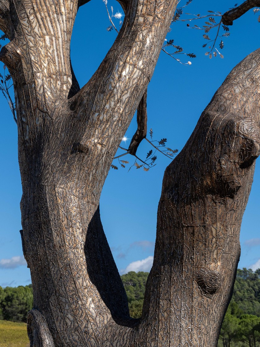 Vietnamese artist brings new life to dead tree at exhibition in France