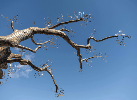 Vietnamese artist brings new life to dead tree at exhibition in France