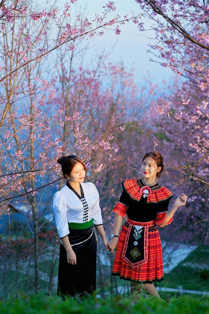 Pha Đin Pass coloured with brilliant flowers