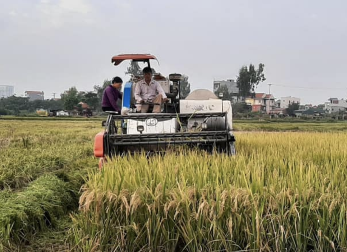 Chuyển đổi số trong xây dựng nông thôn mới kiểu mẫu ở Hoài Đức