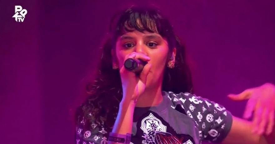 Renowned Belgian singer to perform in Vietnam