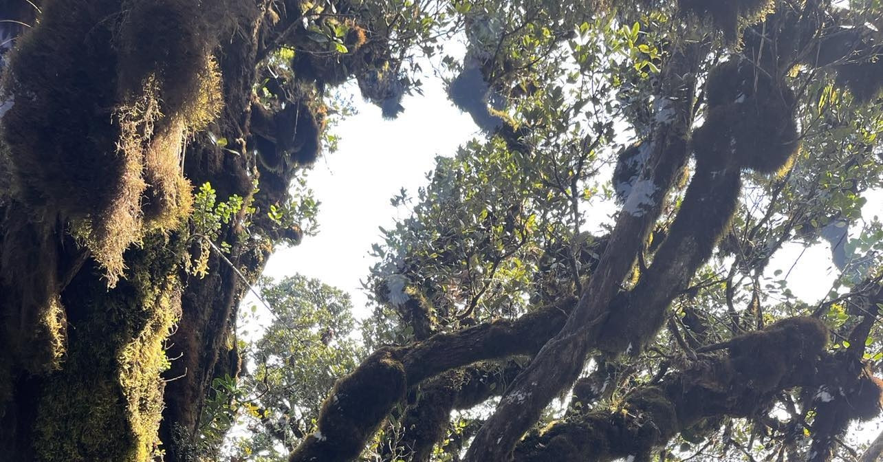 VQG Bi-doup Núi Bà giáo dục tuyên truyền làm trọng tâm bảo vệ rừng