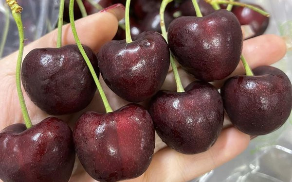 Hoài nghi về loại cherry giá rẻ bất ngờ bán đầy chợ mạng