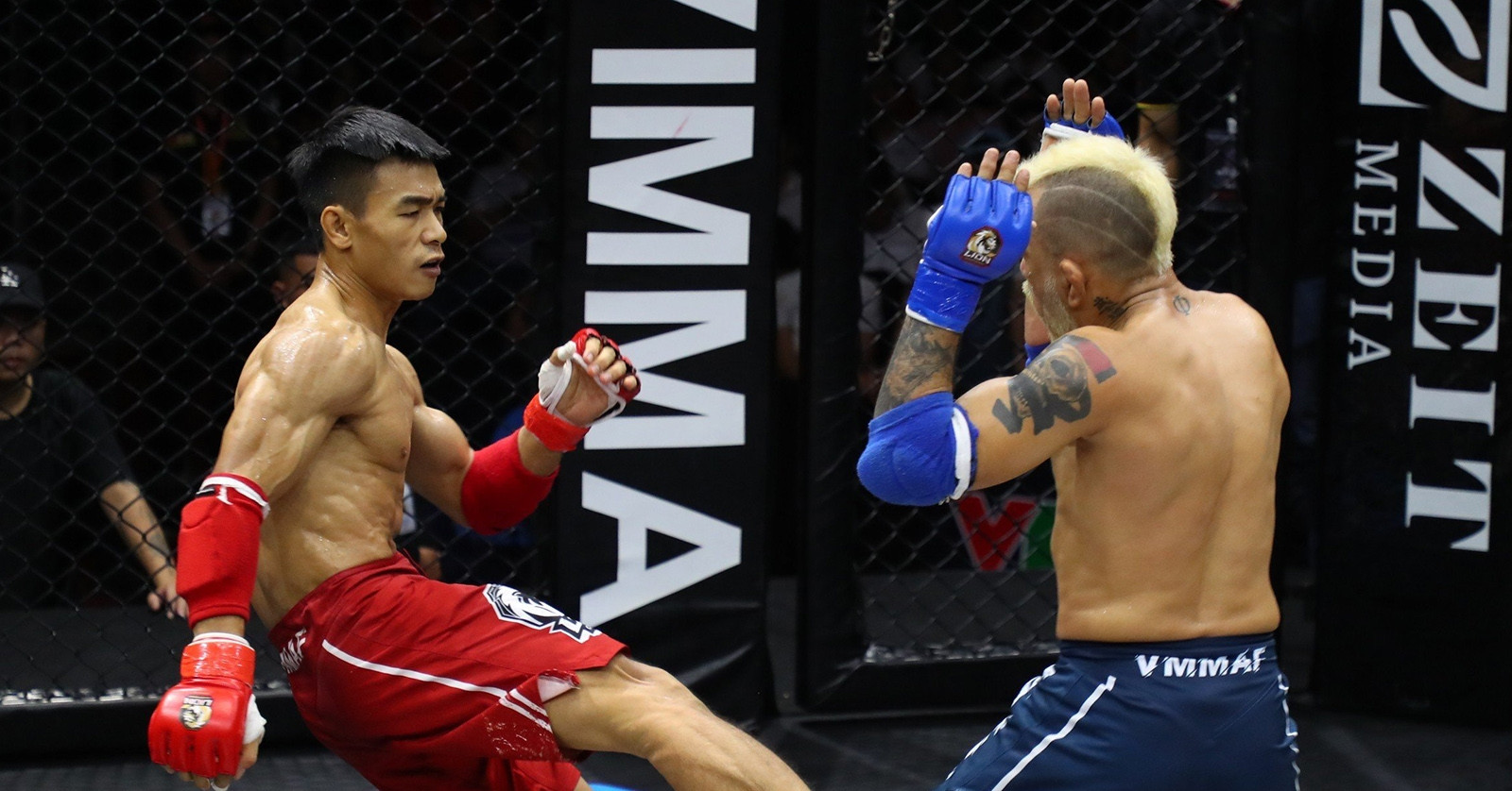 Võ sĩ Việt Nam đánh bại cao thủ MMA Brazil