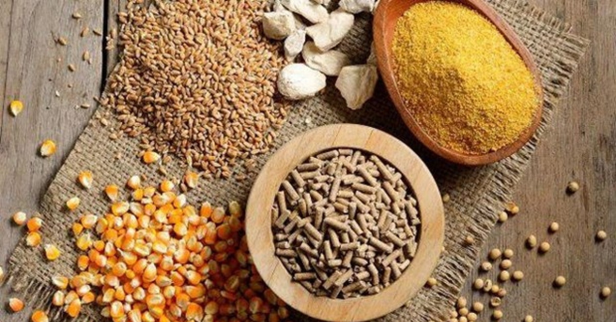 Over US$1.4 bln spent on import of animal feed raw materials