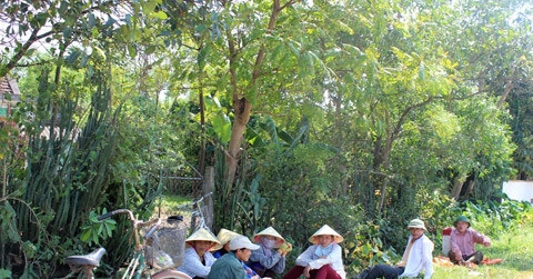 Gió Lào bỏng rát mà nặng trĩu nhớ thương