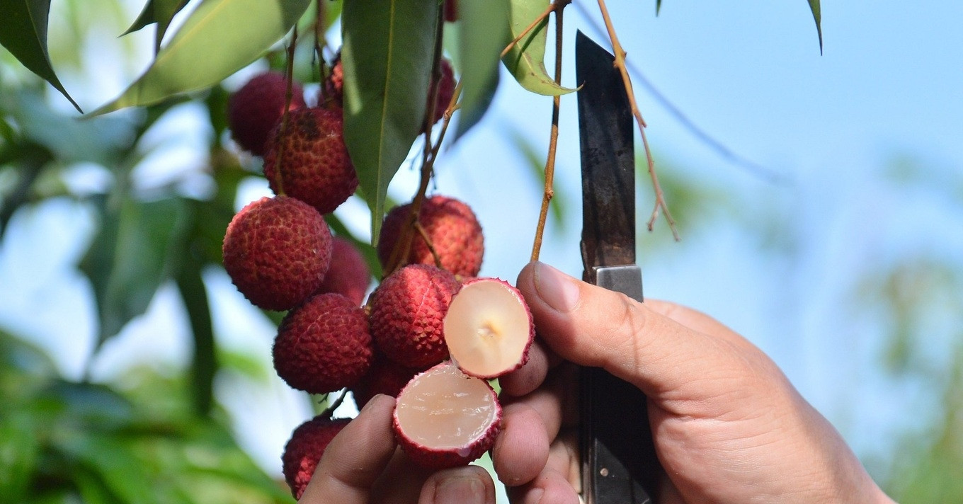 Goods prices rise, but CPI remains relatively stable