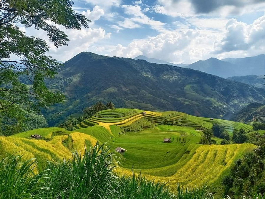 Miền Bắc có bao nhiêu tỉnh? Tỉnh nào có diện tích lớn nhất miền Bắc?