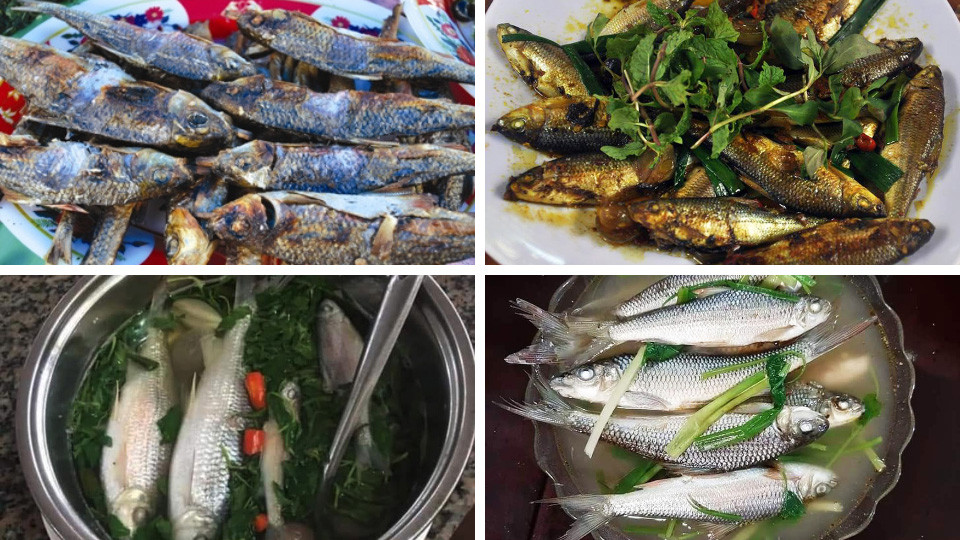 Nieng fish - A renowned specialty of Quang Nam