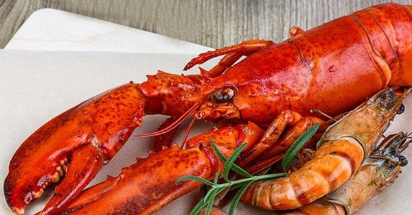 Lý do một số người dị ứng tôm nhỏ nhưng vẫn ăn được tôm hùm