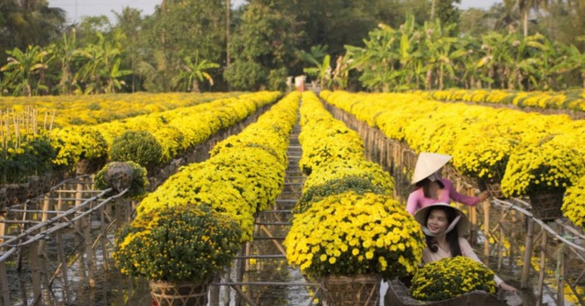 Three local destinations among six coolest towns along Mekong river