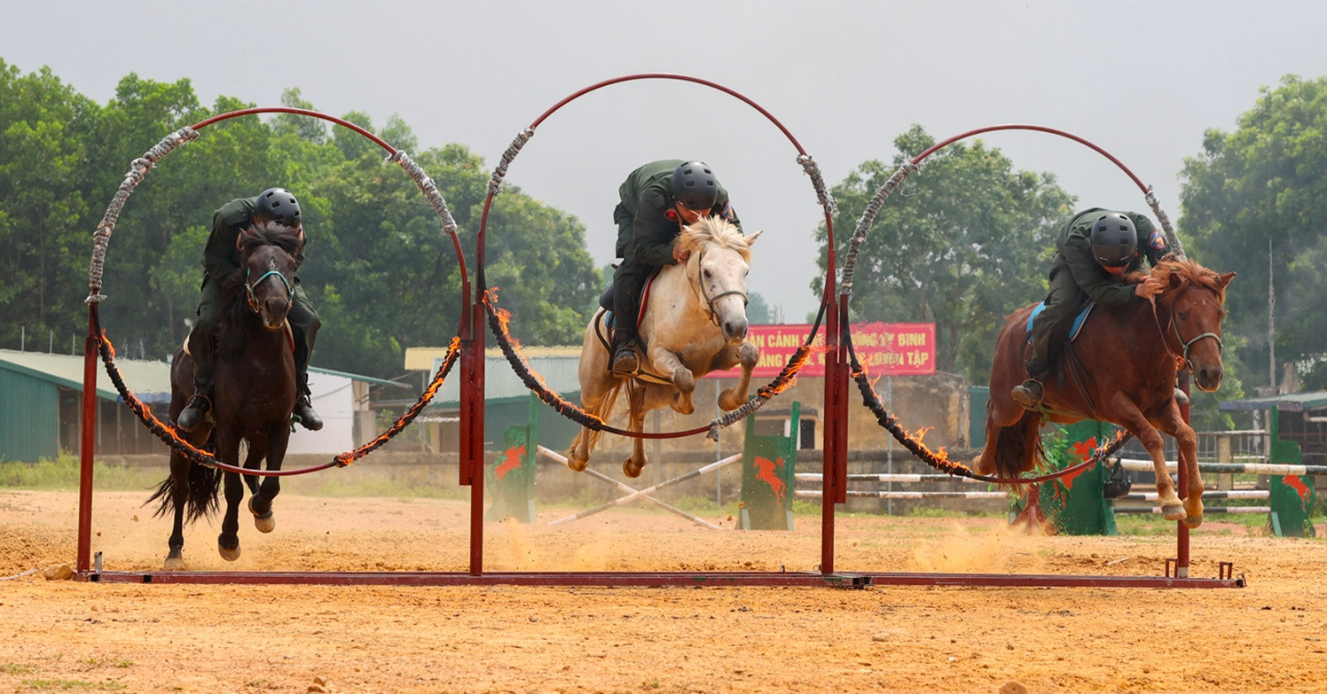 Cái lạnh -30 độ C giữa sa mạc và cuộc thuần hóa ngựa hoang của đơn vị ...