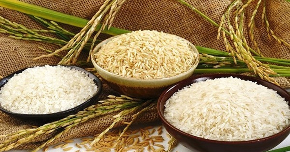 Rice share prices surge, but rice companies told to be cautious