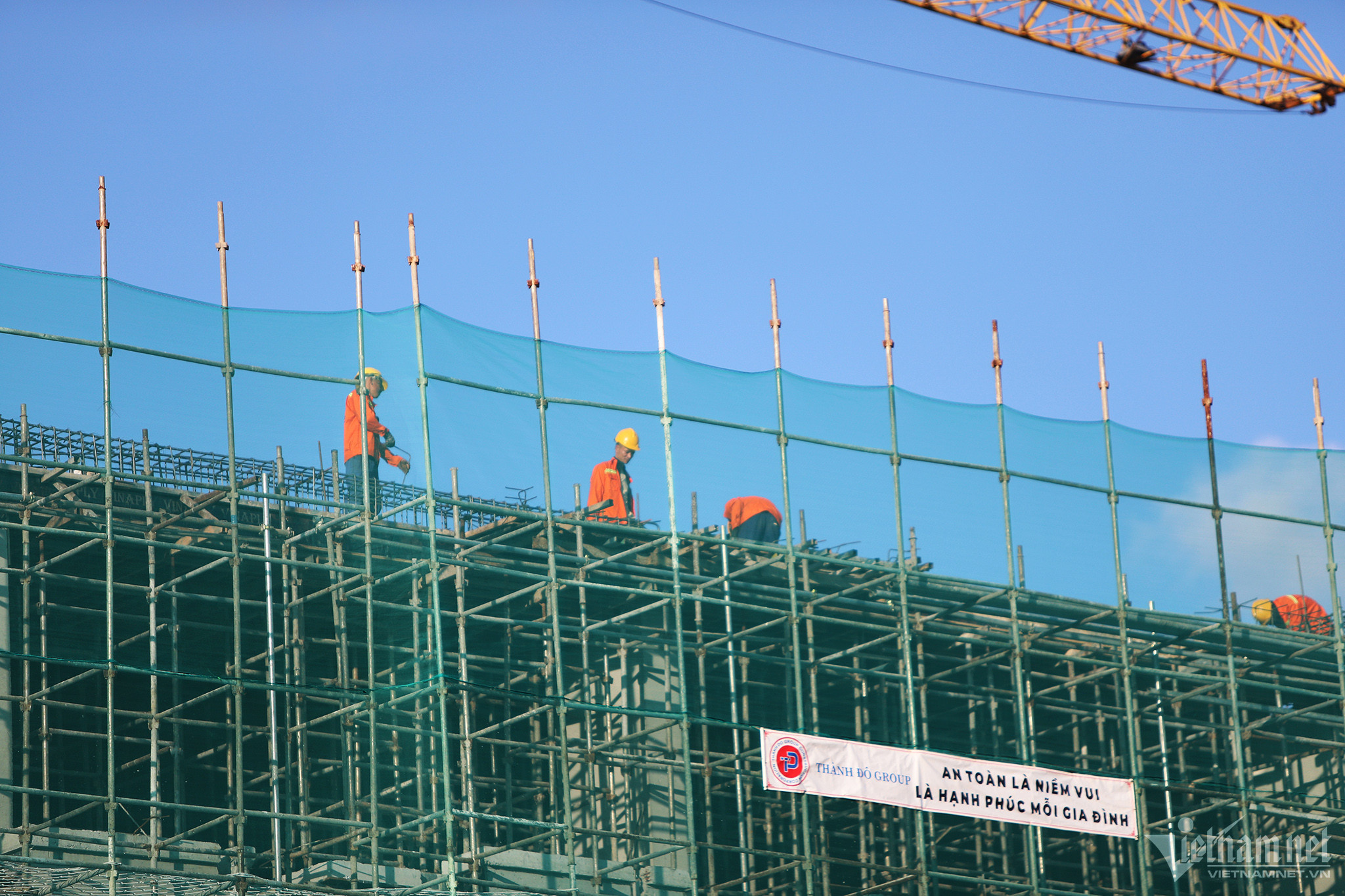 Đà Lạt 'bê tông hóa'