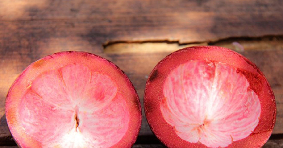 Discarded fruit peels sold as valuable goods