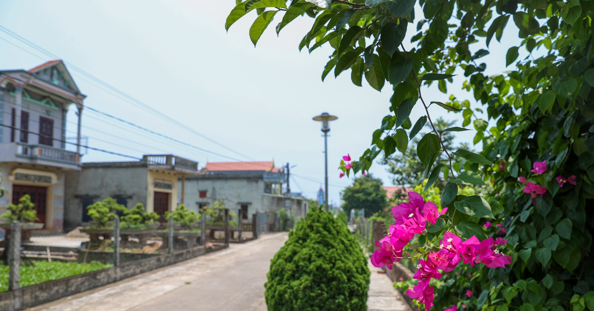 Nam Định: Sáu tháng đầu năm 2023 MTTQ các cấp đạt một số kết quả quan trọng