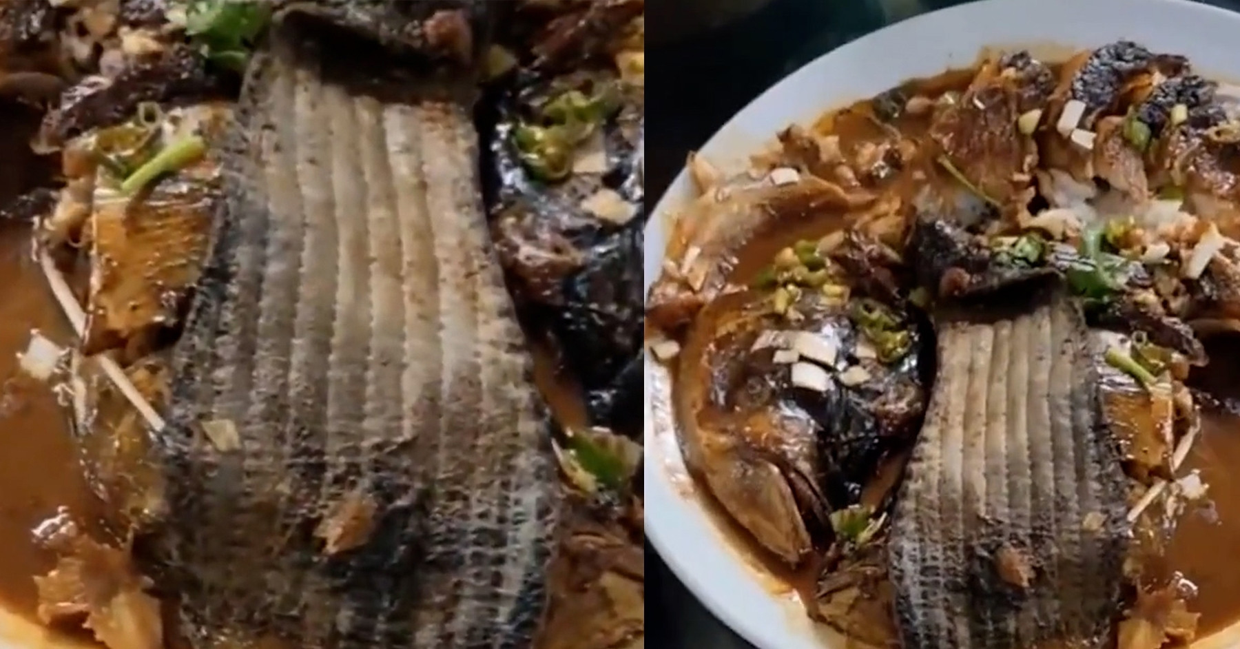 Thực khách kinh hãi gắp phải nguyên miếng lót giày trong đĩa cá kho