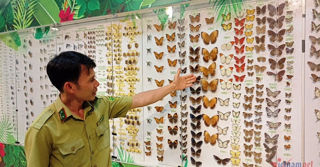 Museum displays human skeleton from 7,500 years ago