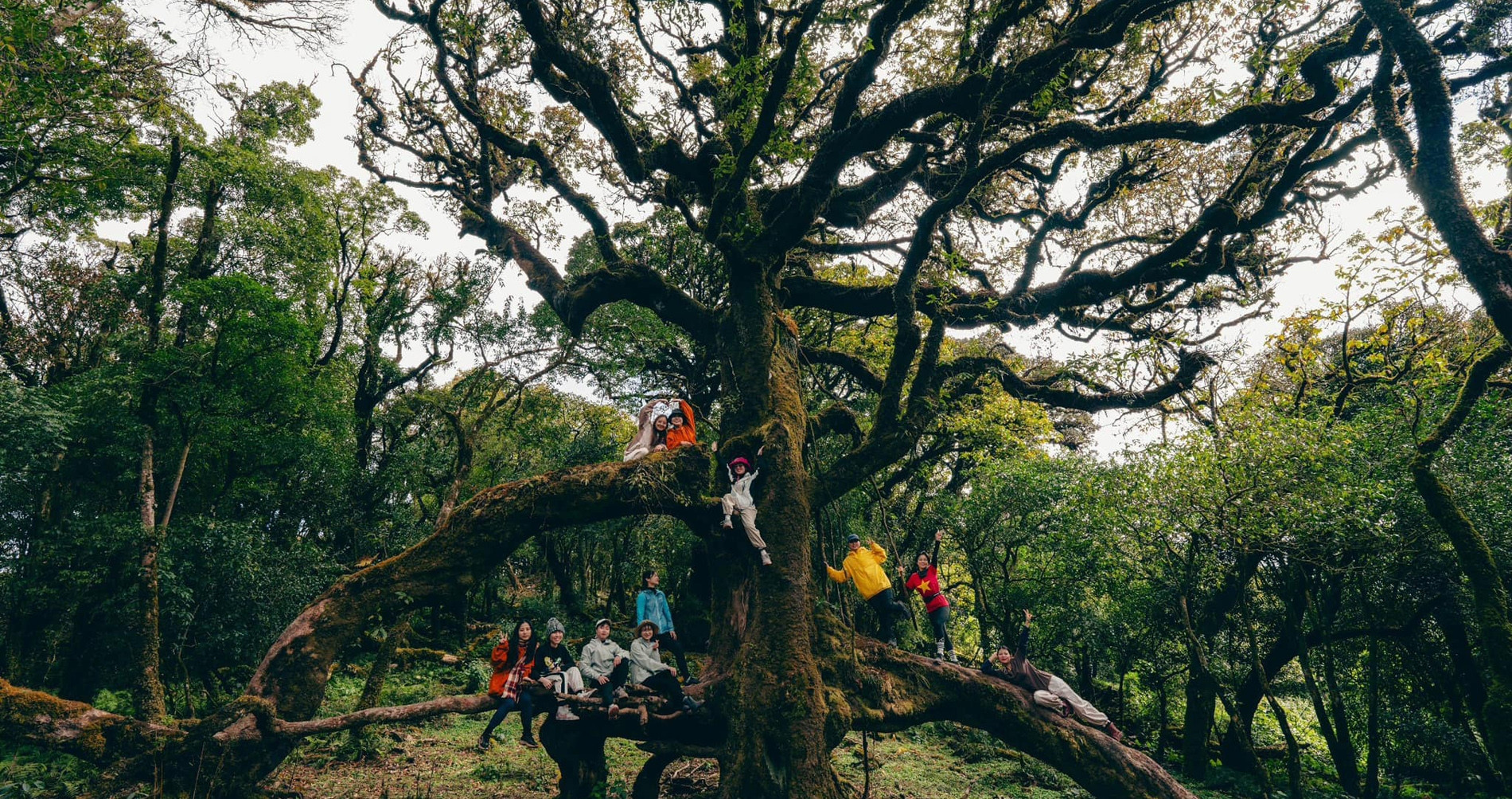 Săn mây và dải ngân hà trên đỉnh núi Sa Mu