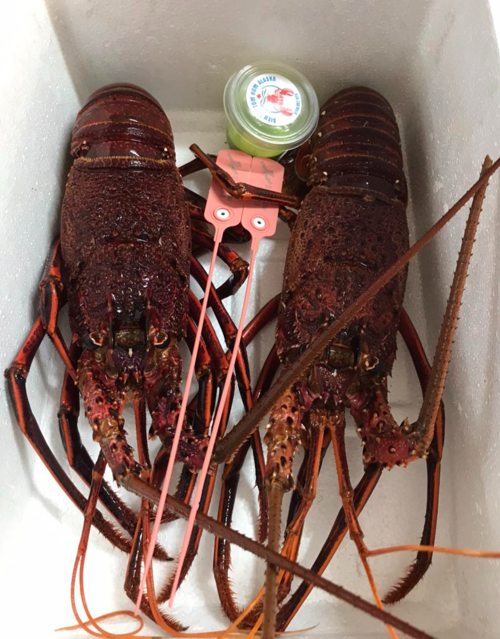 Chi hơn 500 triệu USD nhập khẩu, tôm hùm ngoại la liệt chợ Việt