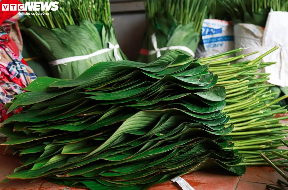 Harvesting Dong leaves for tasty Tet holiday treats