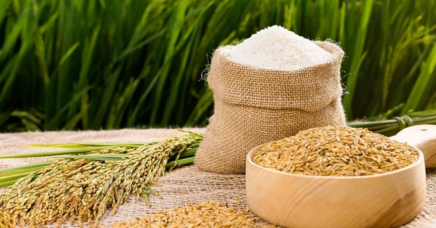 Philippines is Vietnam’s largest rice consumer in 2023