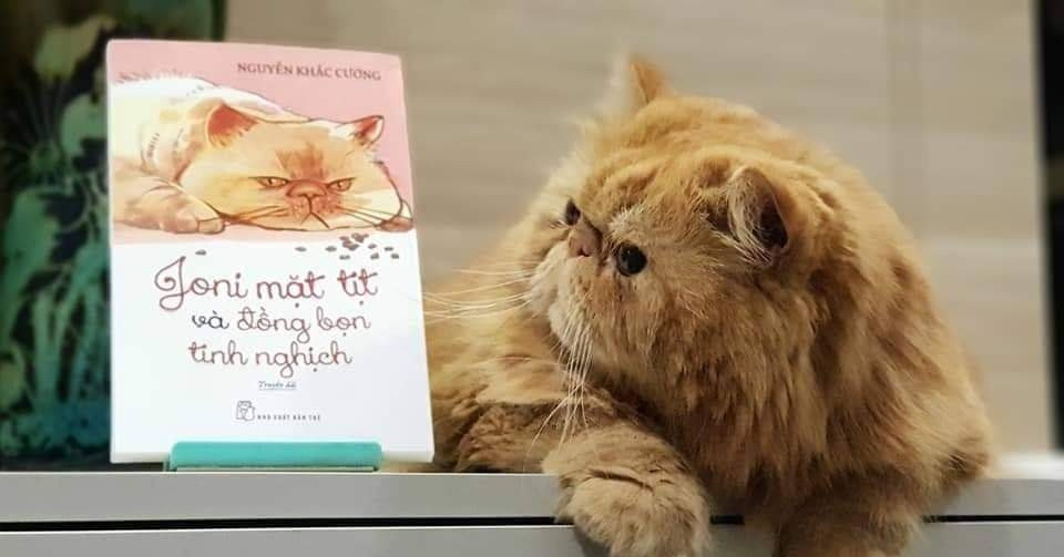 Chuyện về mèo Joni có năng lực chữa lành thương tổn đạt giải B Sách ...