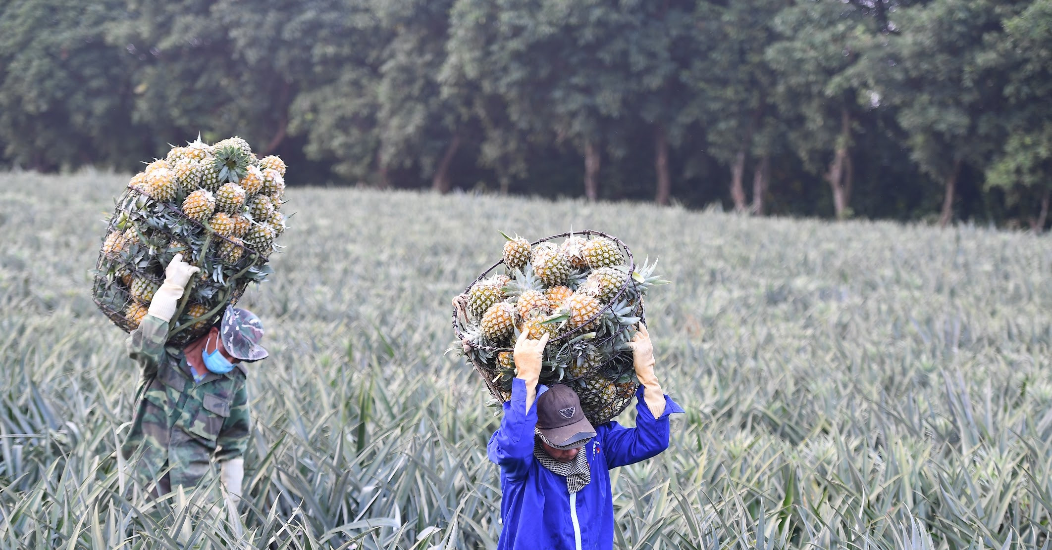 Vietnam to increase trade promotion, market development in 2024