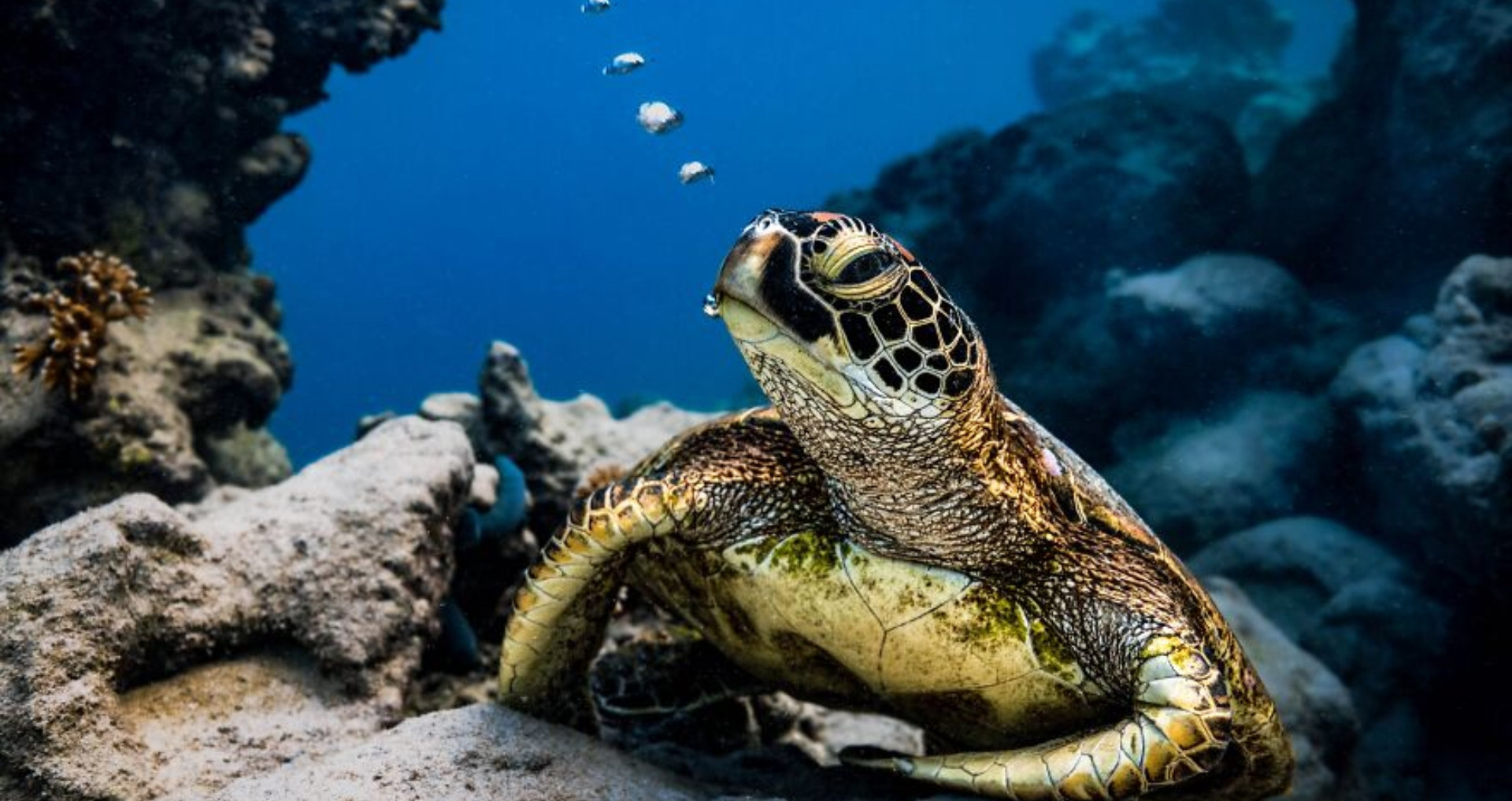 Ngắm 20 bức ảnh thiên nhiên đẹp nhất thế giới