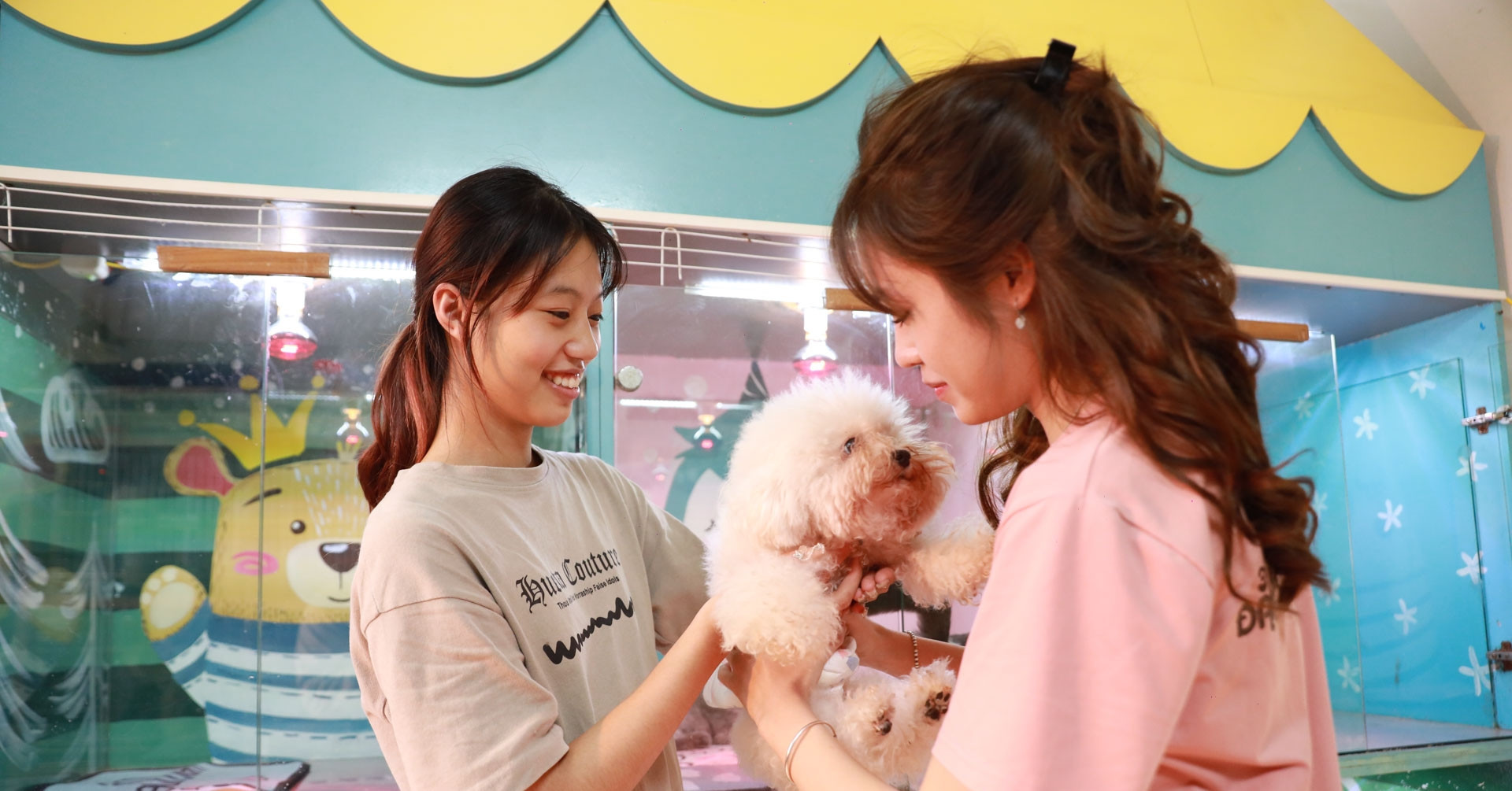 Pet hotels in Hanoi fully booked during Tet Holiday 2024