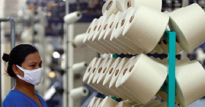 More support policies needed for fiber industry