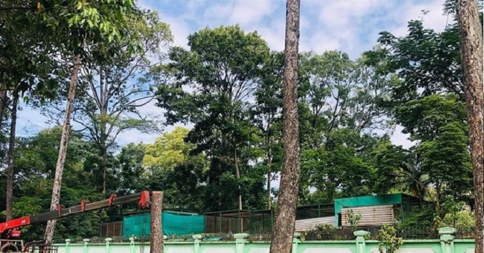 HCM City's second metro line threatens 400 trees