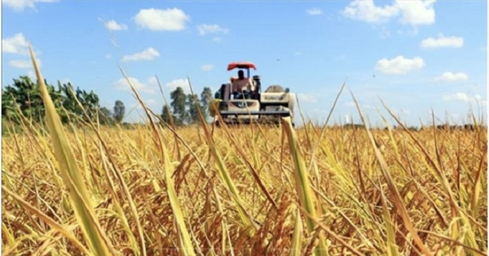 Over 1mil. to be trained for massive high-quality, low-emission rice ...