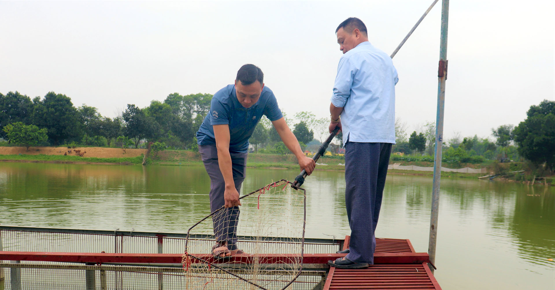 Người đàn ông nhận kho báu dưới đầm hoang nhờ quyết định năm 30 tuổi