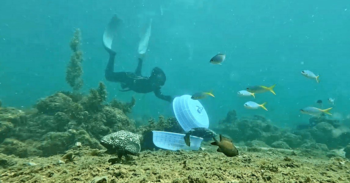 The volunteers who spend their own money to ‘enrich the ocean’