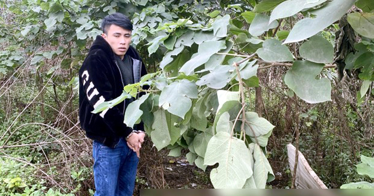 Vào bãi đất trống hành sự, gái bán dâm bị đập đầu, cướp tài sản