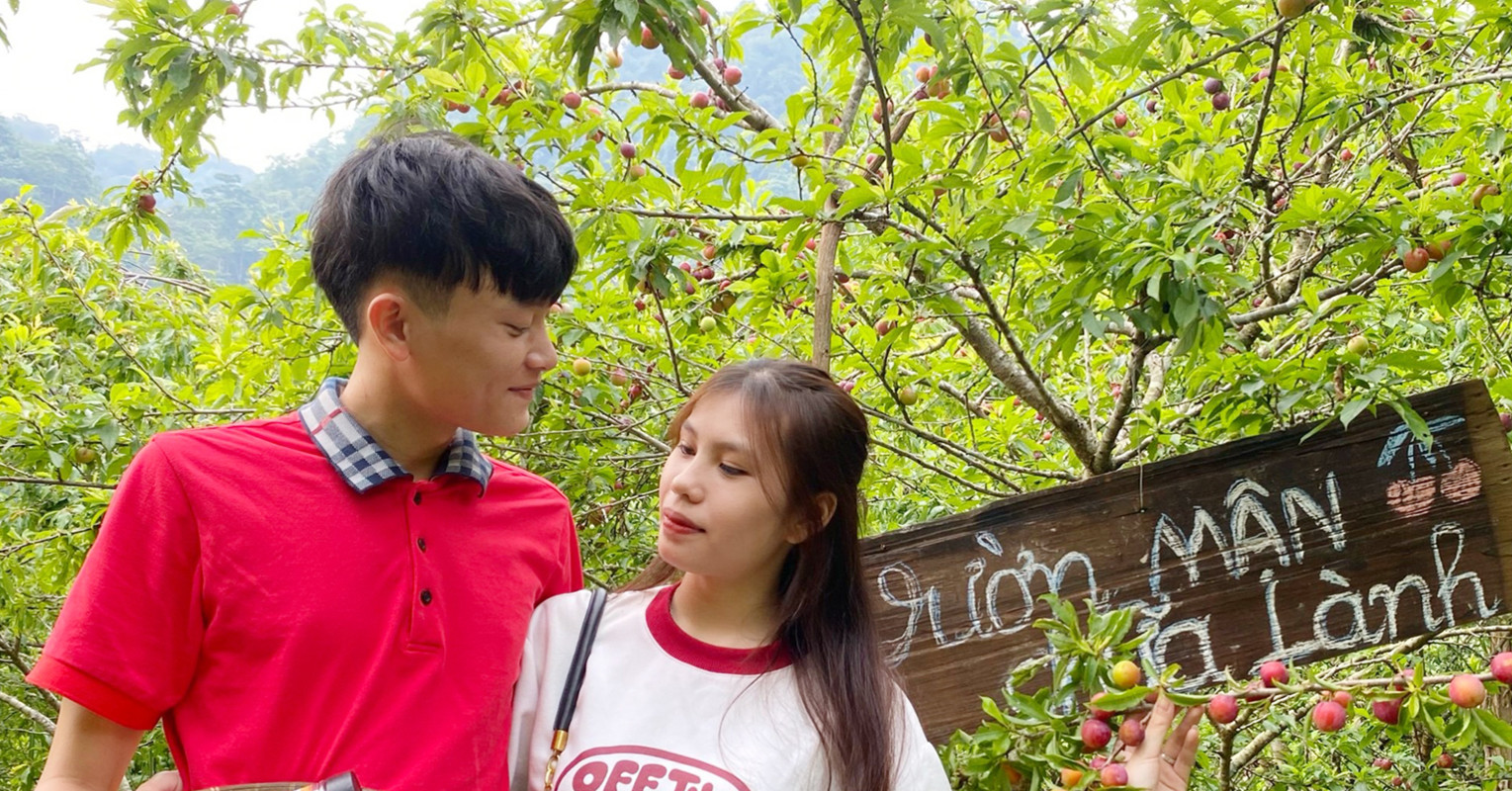 ‘Vườn mận chữa lành’ hút khách du lịch check-in ở cổng trời Mường Lống