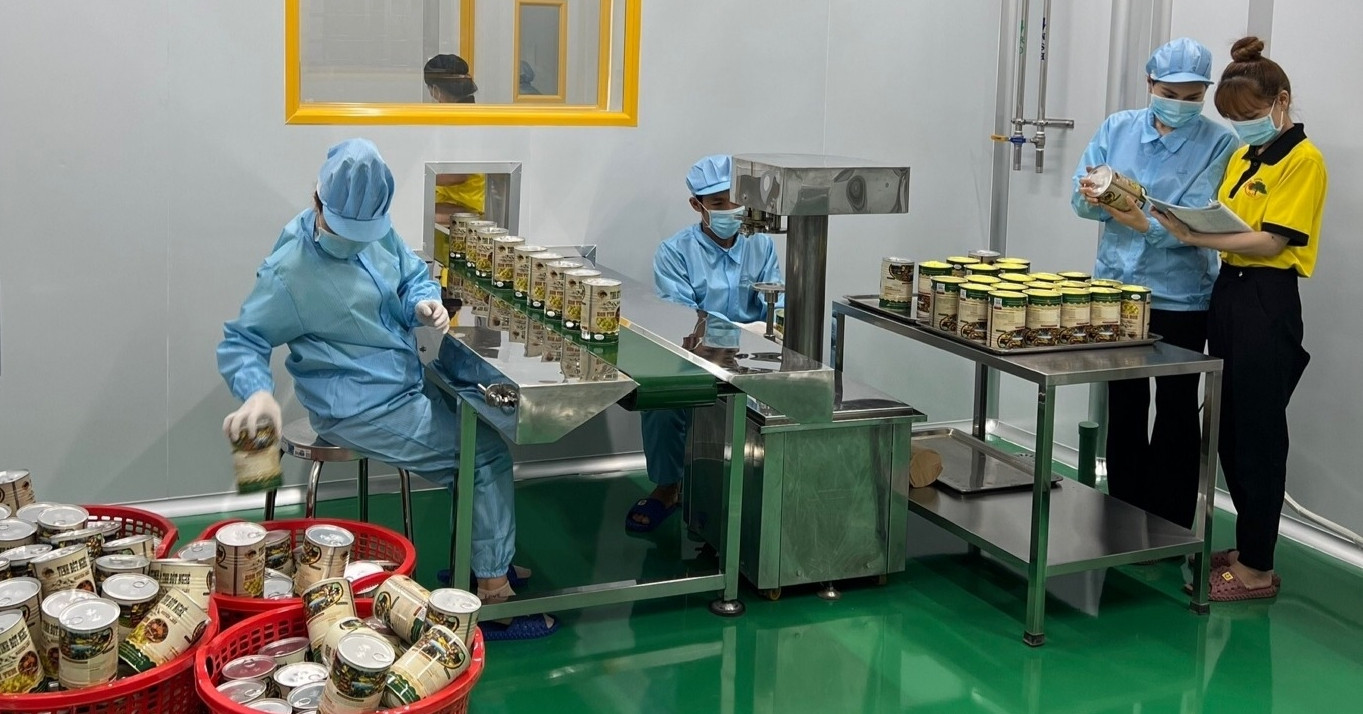 Hằng Thuận Tây Nguyên - 9 năm nỗ lực nâng tầm nông sản Kon Tum