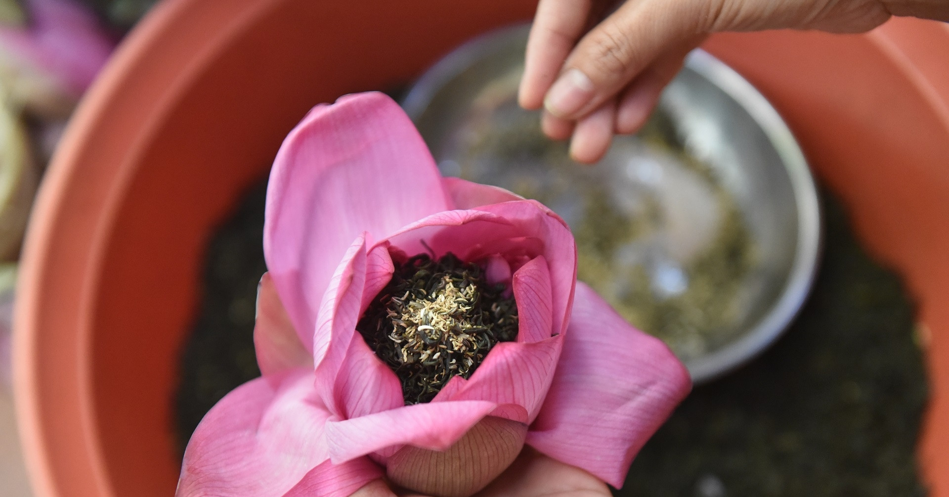 Hà Nội xây dựng tour, tuyến du lịch mới gắn với sản phẩm từ sen